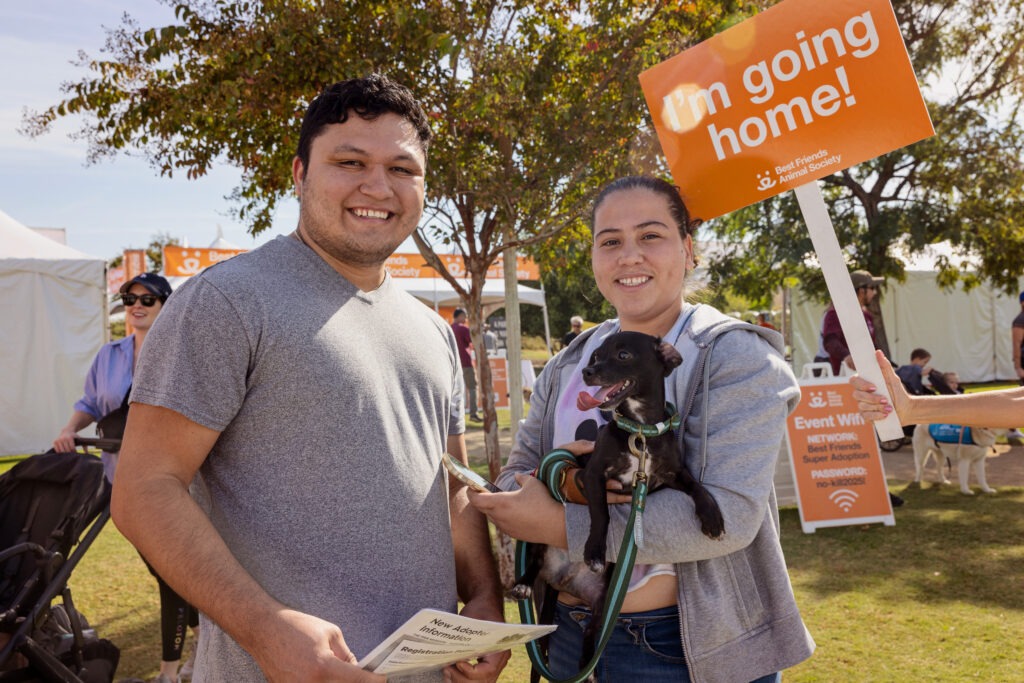 Best Friends Animal Society Super Adoption | Northwest Arkansas