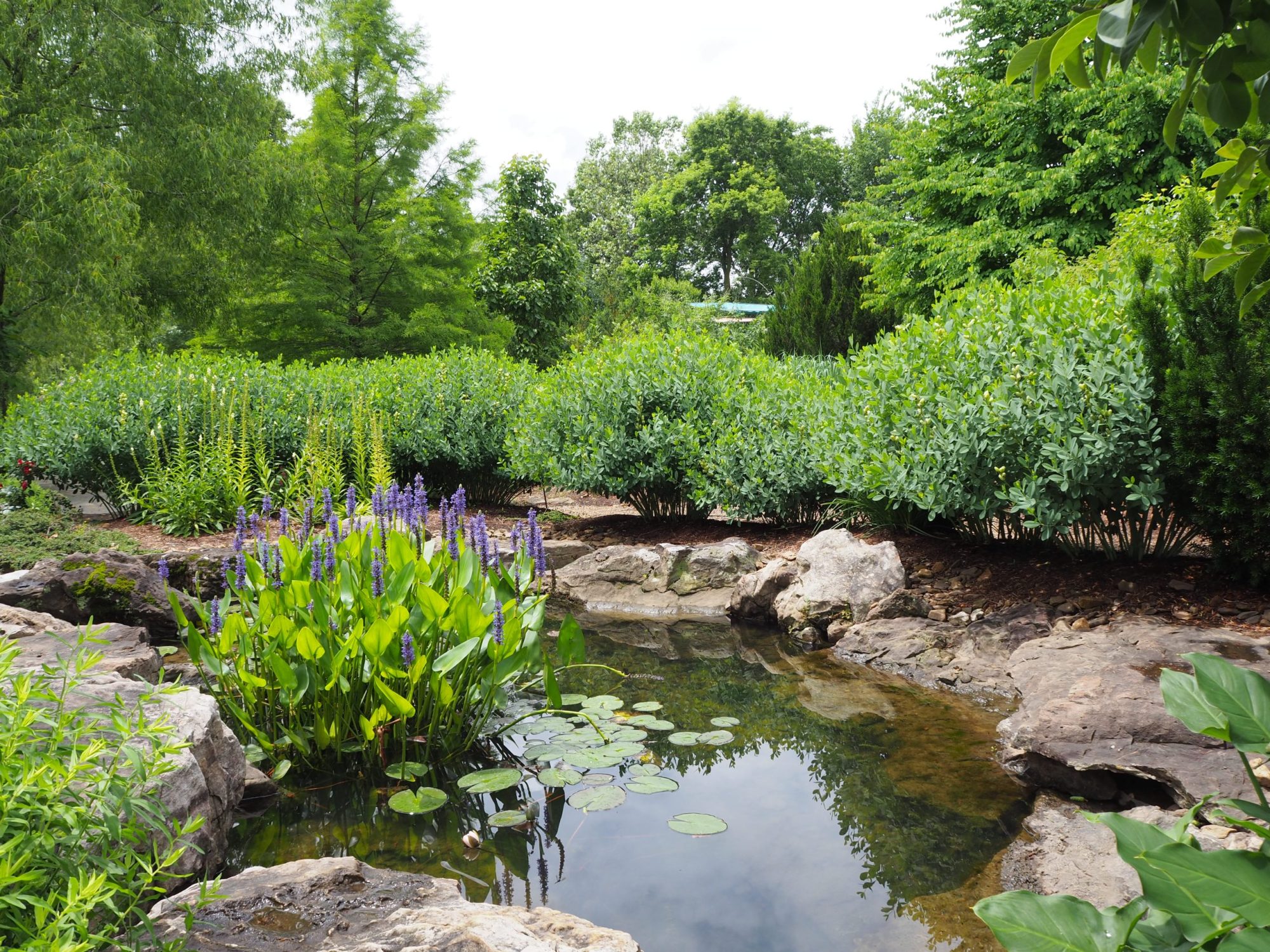 Things to Do in Fayetteville, AR | Explore Northwest Arkansas